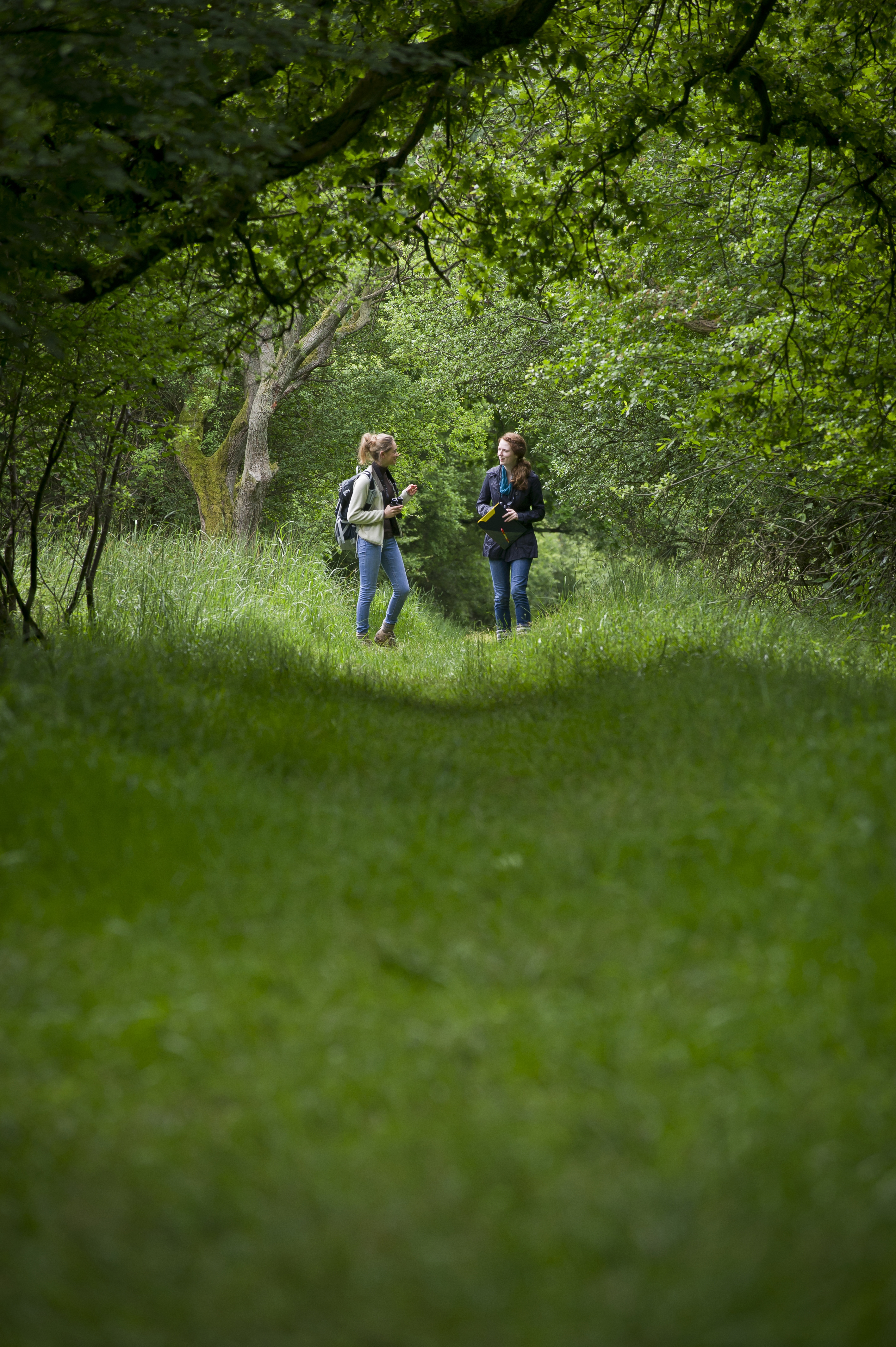 Meander in Nature - Cambourne Information