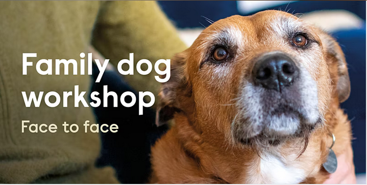 Family Dog Workshop - in person event - Cambourne Information